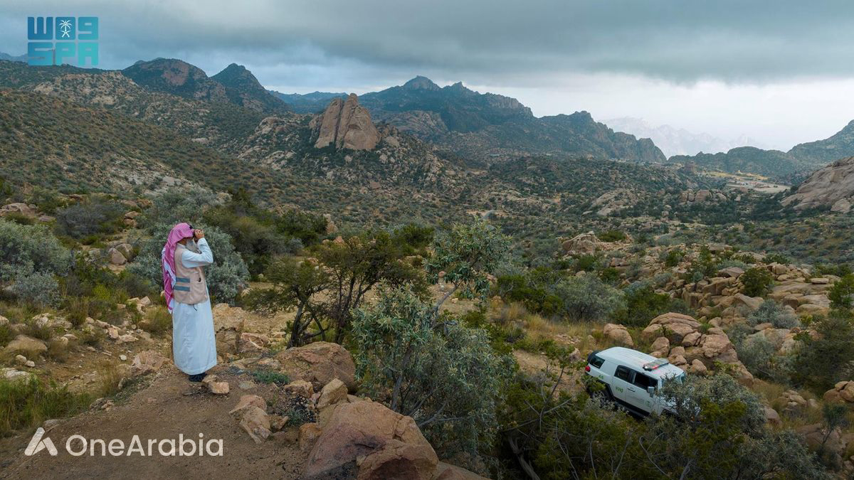 NCVC's Efforts In Preserving Saudi Arabia's Natural Beauty - OneArabia