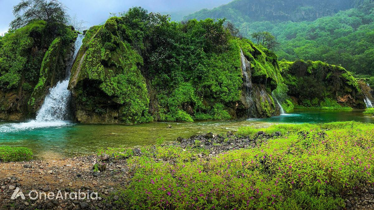 Exploring Khareef Season In Salalah, Oman: A Complete Guide - OneArabia