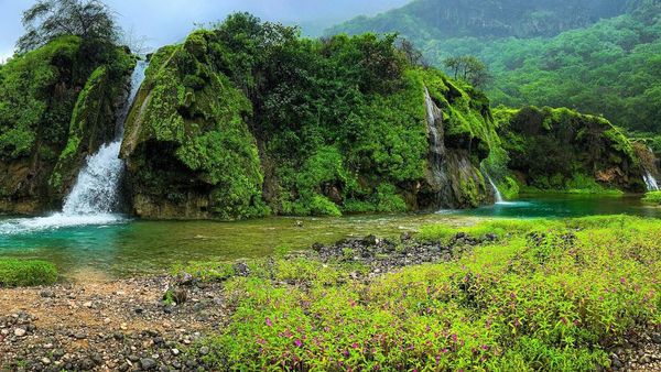 Exploring Khareef Season In Salalah, Oman: A Complete Guide - OneArabia