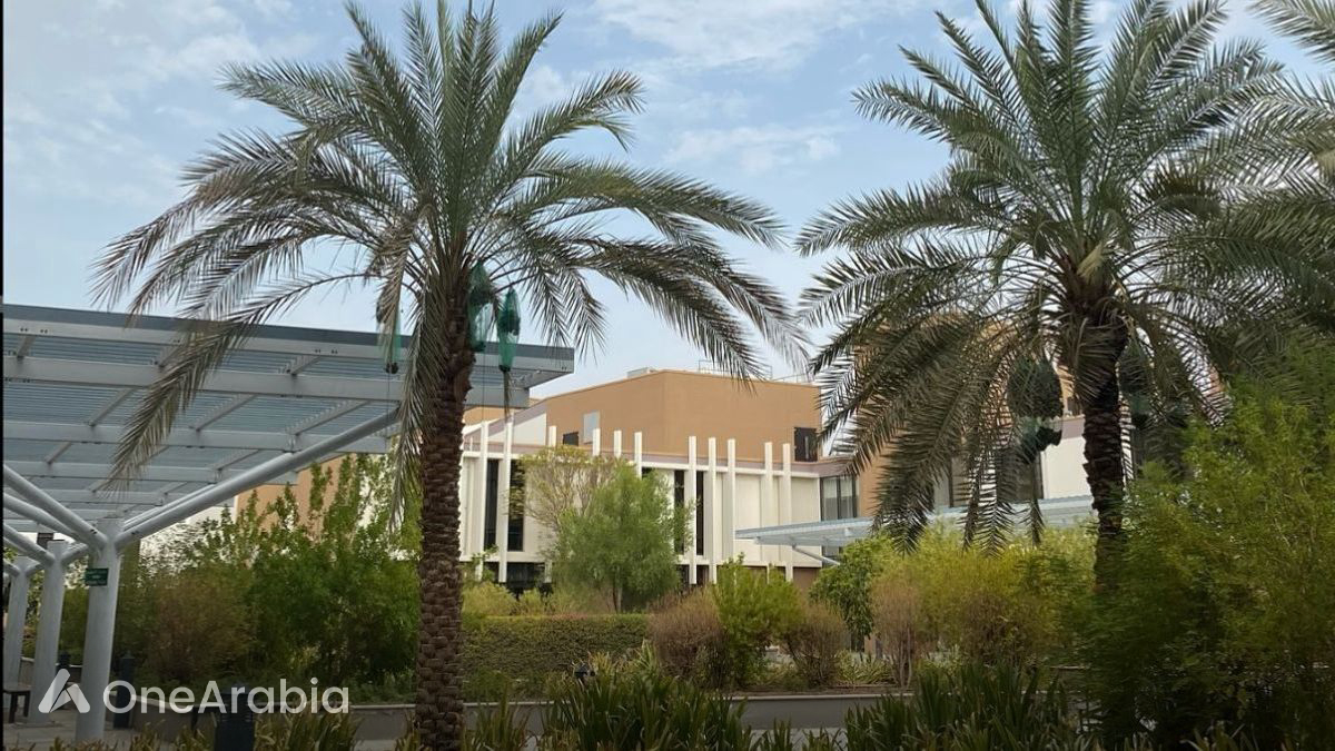 Discover Top 5 Ranked Universities In The UAE For 2024 - OneArabia