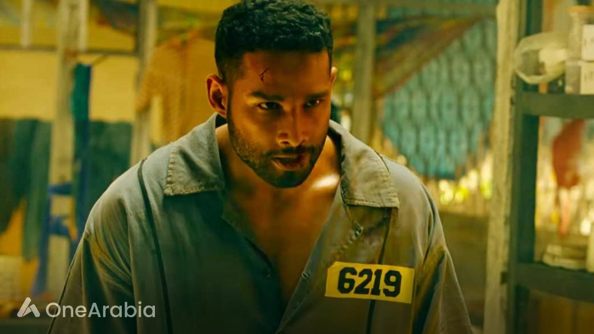 Yudhra Box Office Collection Day 3: Siddhant's Film Sees Growth - OneArabia