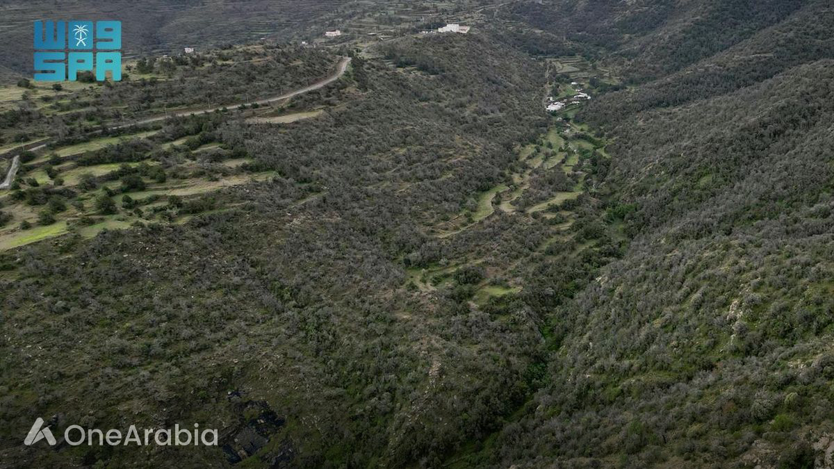 Saudi Arabia Celebrates International Day Of Forests With Focus On ...