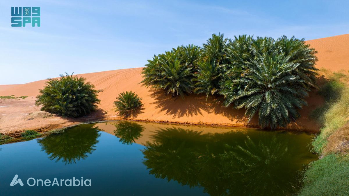 North Riyadh And Salma Geoparks Join UNESCO Global Geoparks Network ...