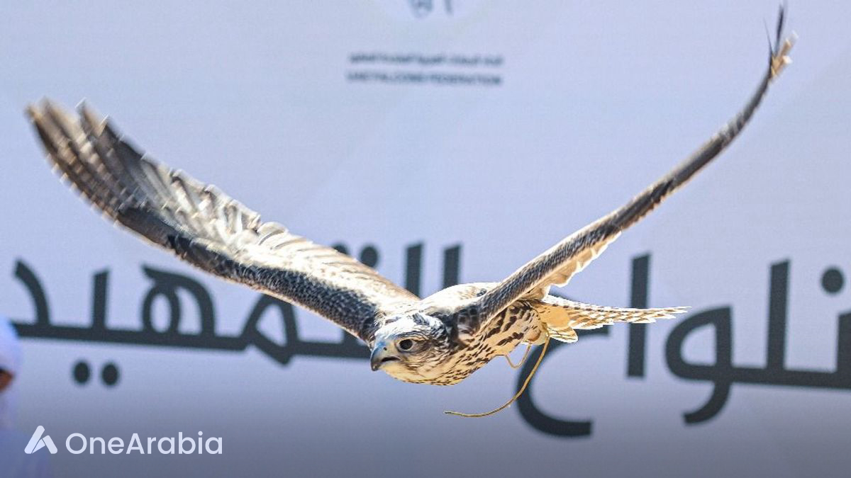 Ahmed Bin Mohammed Appoints Zayed Bin Hamad As Chairman Of Emirates ...